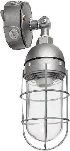 RAB Lighting Vaporproof Adjustable Permaglobe Clear Pendant Light ...