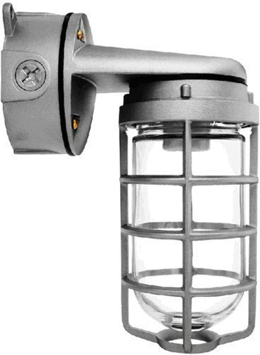 RAB Lighting VXBR100DG Vaporproof VXBR 4" Wall Bracket with Glass Globe ...