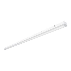 8 Foot Led Lights