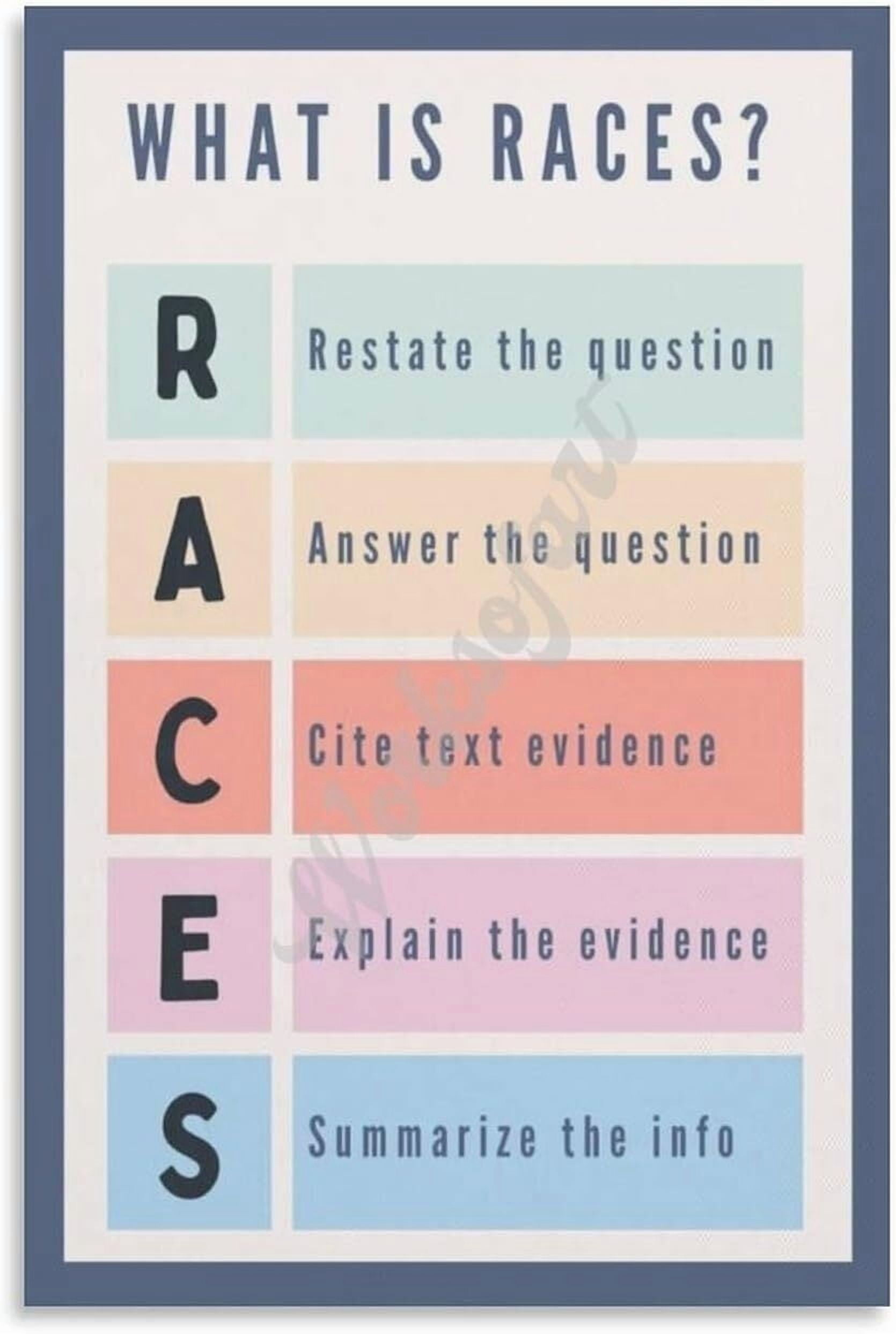 RACE Writing Strategies Poster English Classroom Wall Art for Living ...
