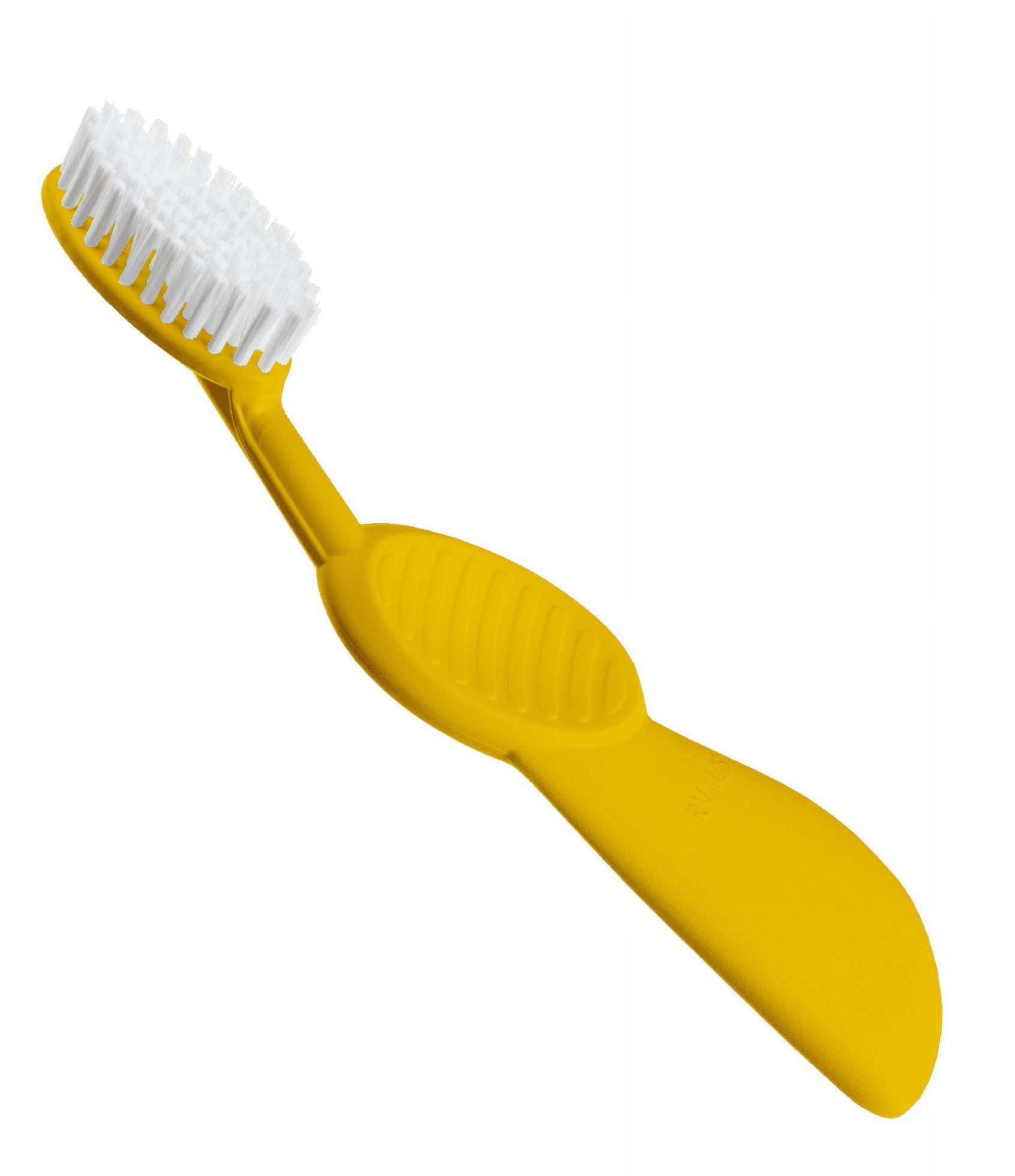 RADIUS Flex Brush, Soft Bristles Toothbrush, ADA Accepted, Recycled ...