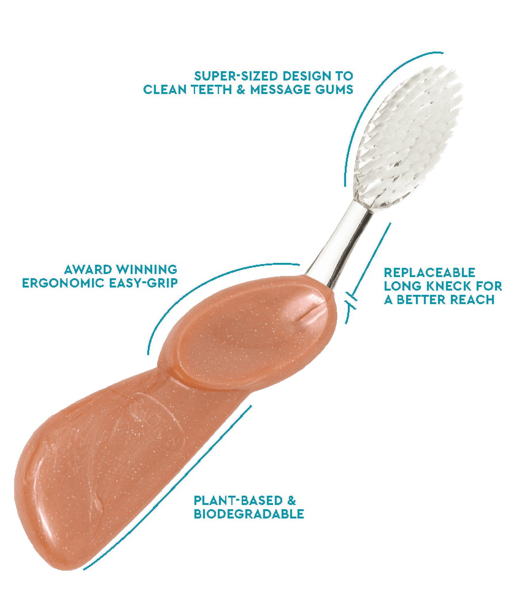 RADIUS Toothbrush Big Brush with Replaceable Head, Right Hand, Soft in Coral Sparkle, BPA Free ...