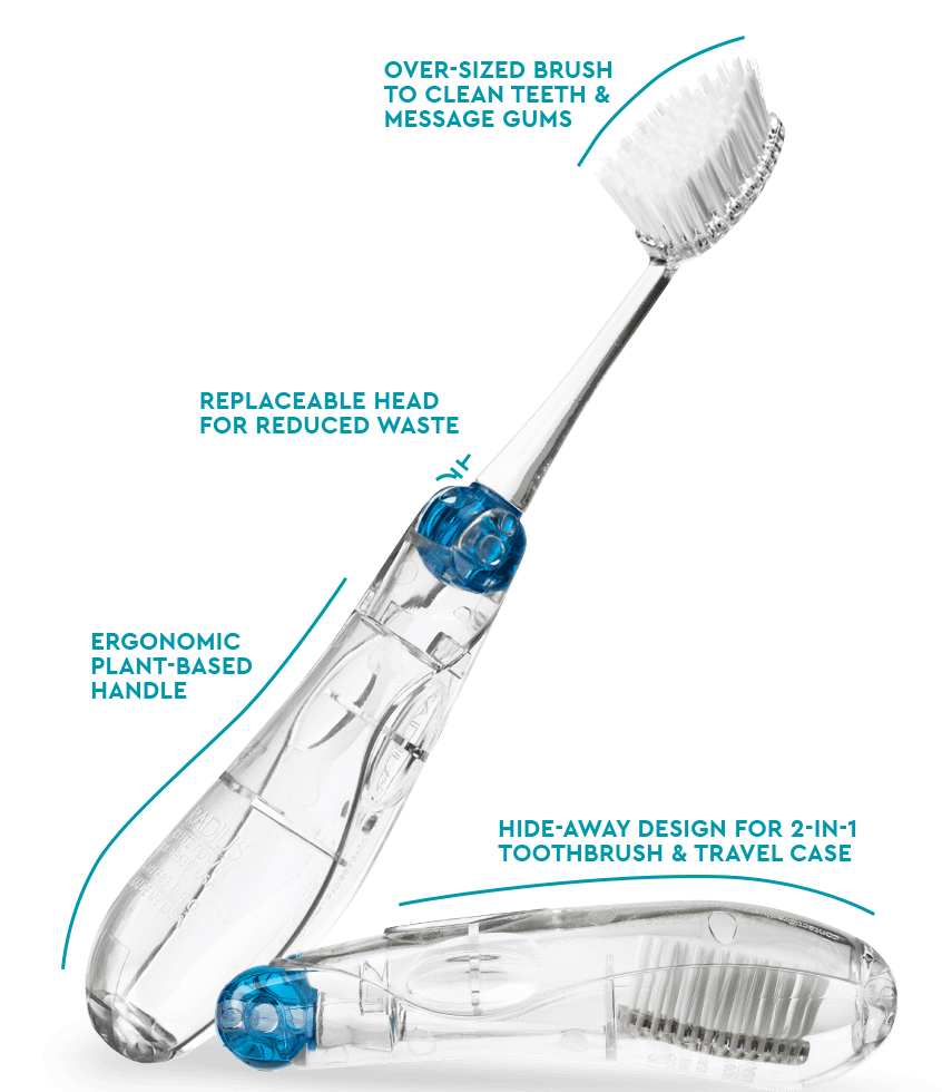 RADIUS Travel Brush Case with Replaceable Head Blue - Compact and ...