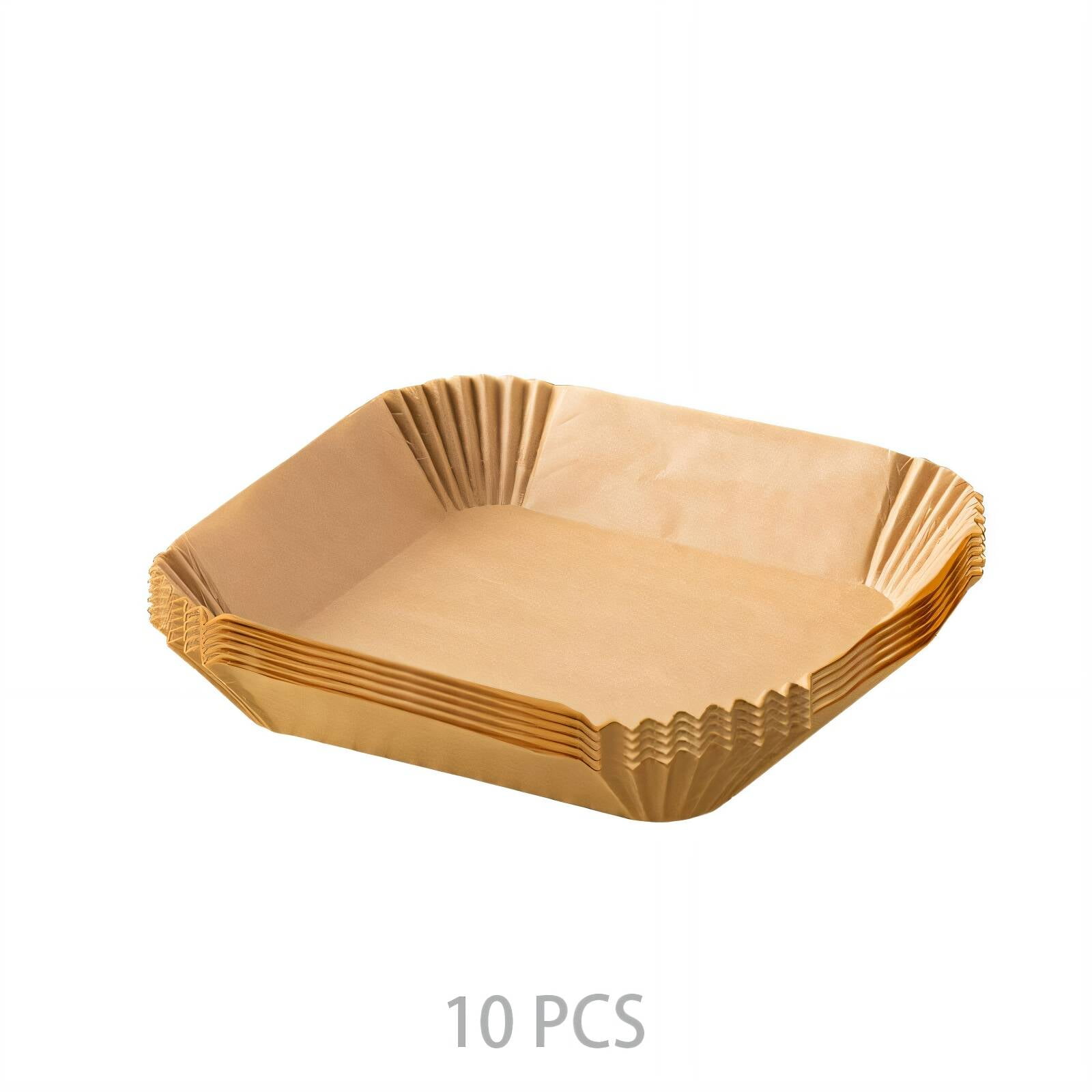 RAGUPEL 10 Pcs Paper Plates,Outstanding Oil Absorption Disposable ...