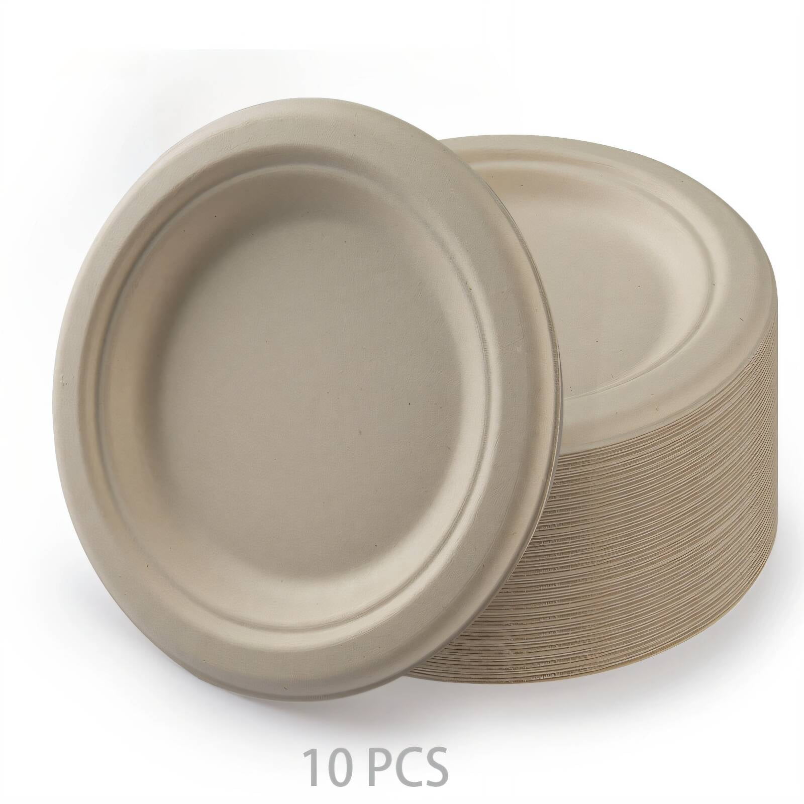 RAGUPEL 10 Pcs Paper Plates,Outstanding Oil Absorption Disposable ...