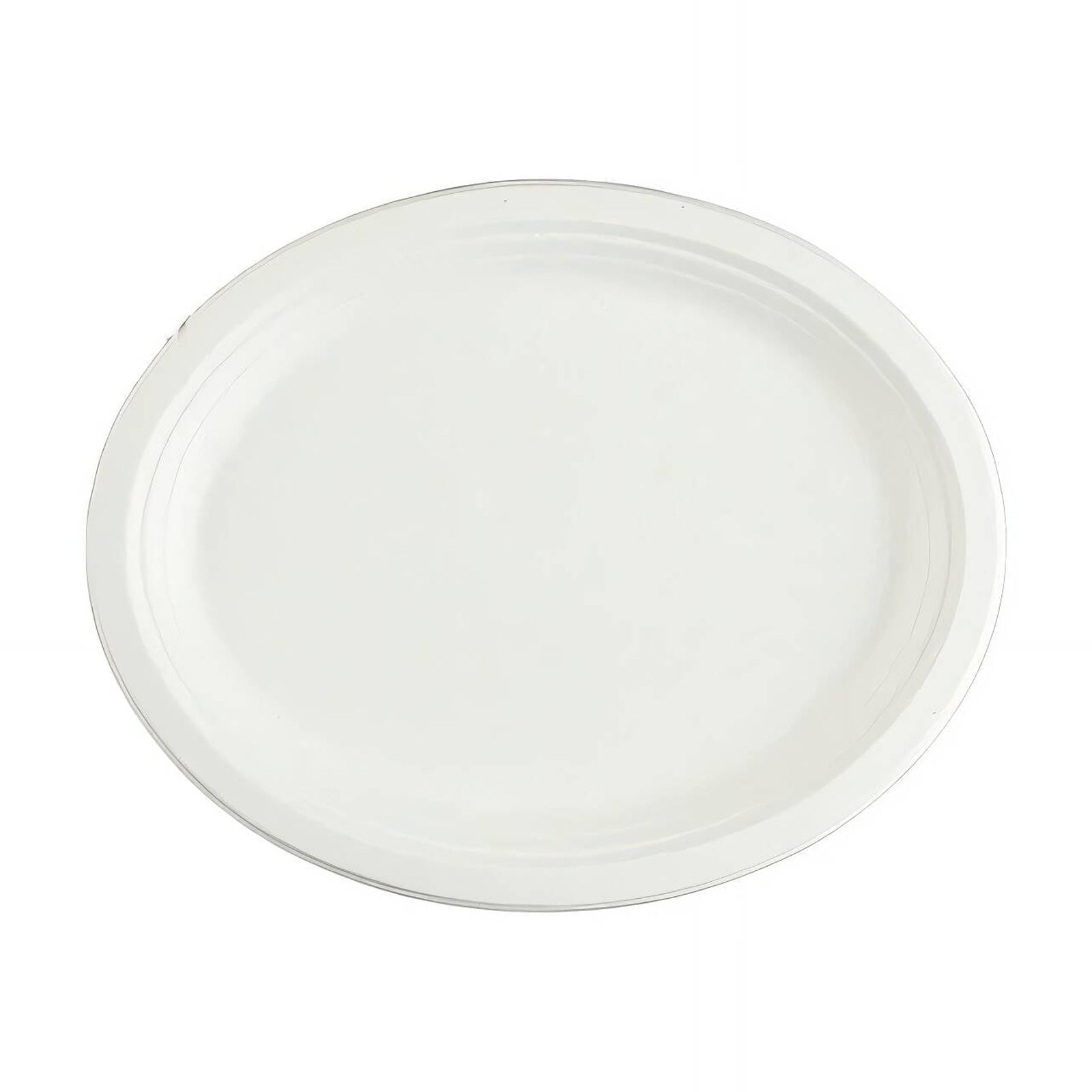 RAGUPEL 10 Pcs Paper Plates,Outstanding Oil Absorption Paper Plates 10 ...