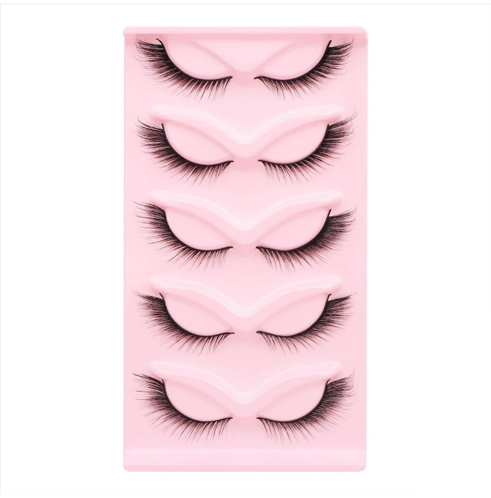 RAGUPEL 5Pairs Lashes Wispy Create Exquisite Eye Makeup Eyelash ...