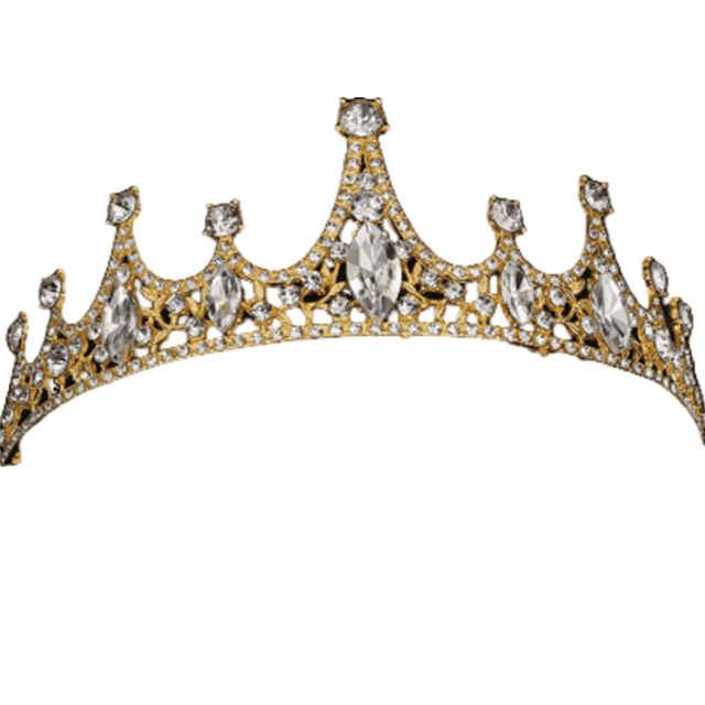 RAGUPEL Crown,Exquisite Crystal Embellishments and Sparkling Rhinestone ...