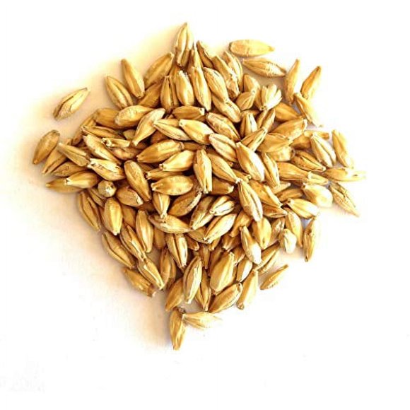 Malted Barley