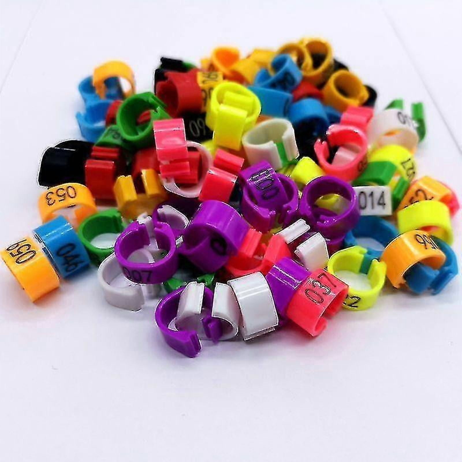 RAIN 100pcs Number Bayonet Identification Pigeon Ring Carrier Pigeon ...
