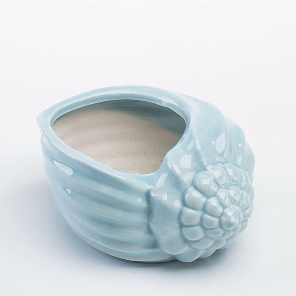 RAIN Cute Cartoon Whale Shell Succulent Planter Marine Ornament for ...