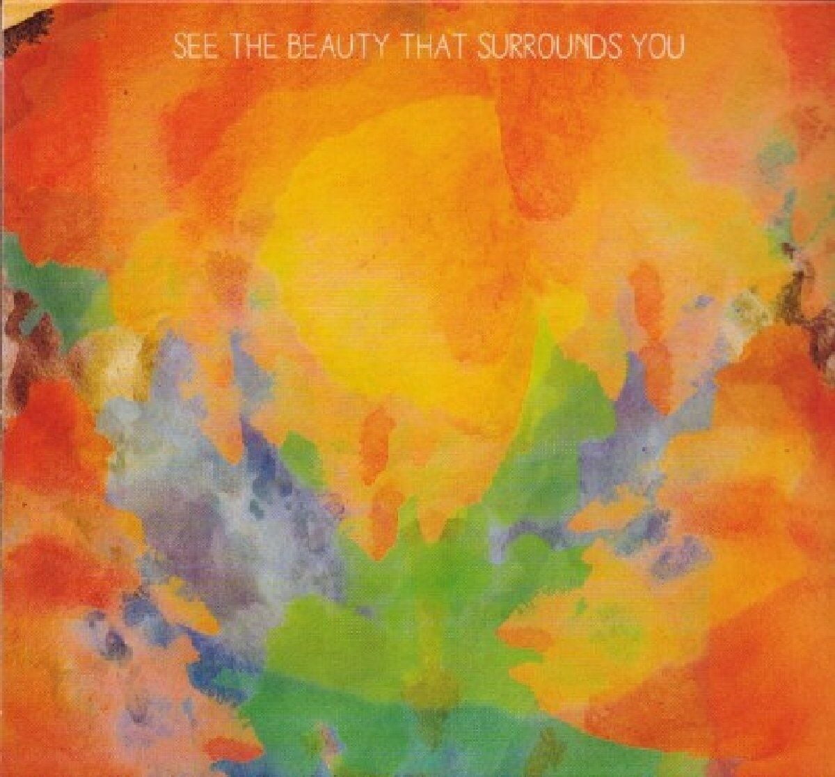 RAIN PLANS - Walmart.com