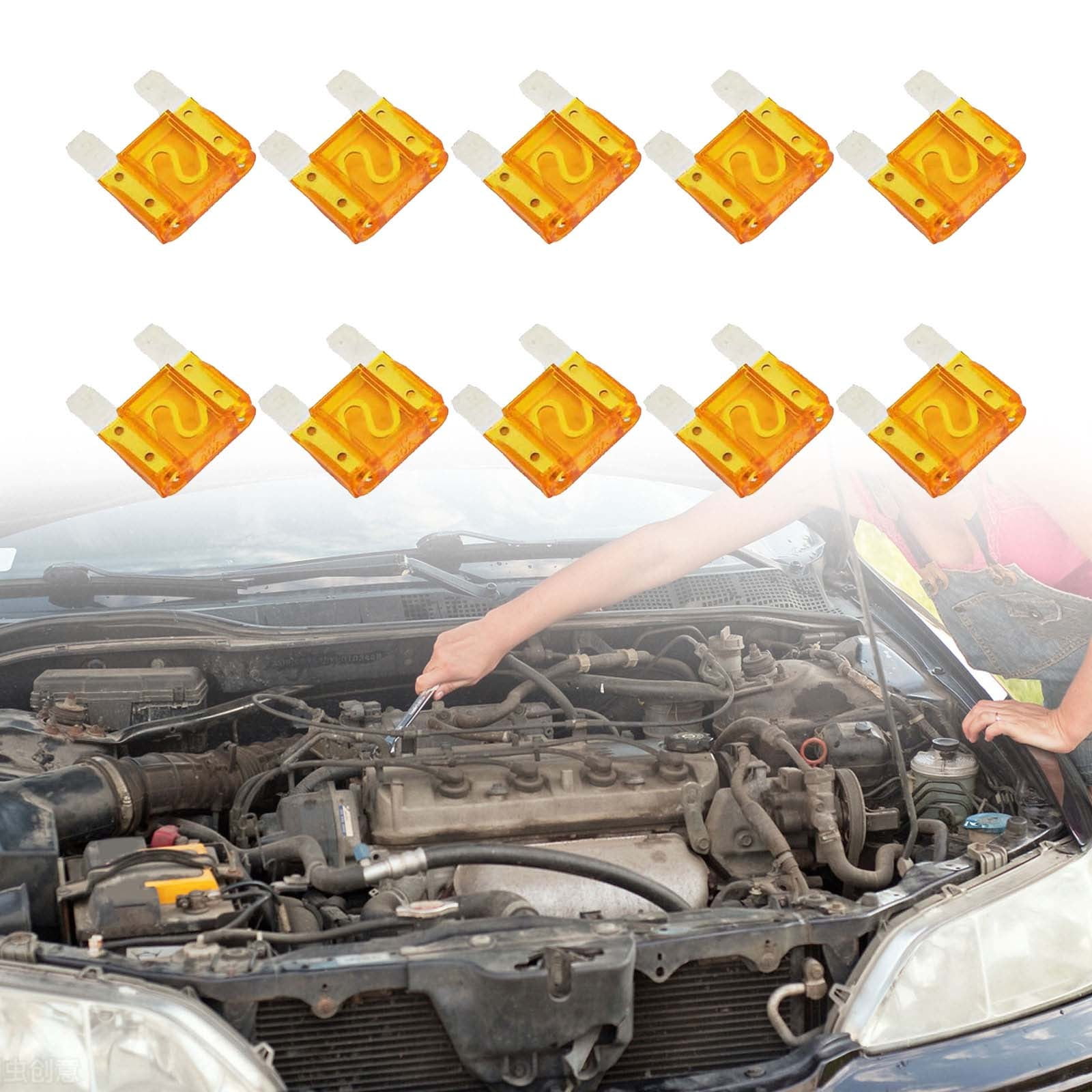 RANMEI Car Fuses 40A 12 V-32 V Blade Fuses For Car, Boat, Motorcycle ...