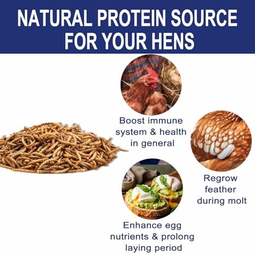 RANZ 20LBS Non-GMO Dried Mealworms for Chickens, High Protein Meal Worms, Premium Chicken Feed ...