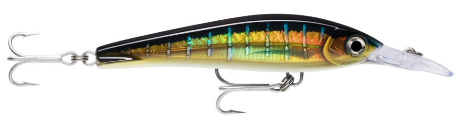 Rapala X-Rap Magnum Xtreme 160mm, HD Sailfish UV Lures, High-Quality ...
