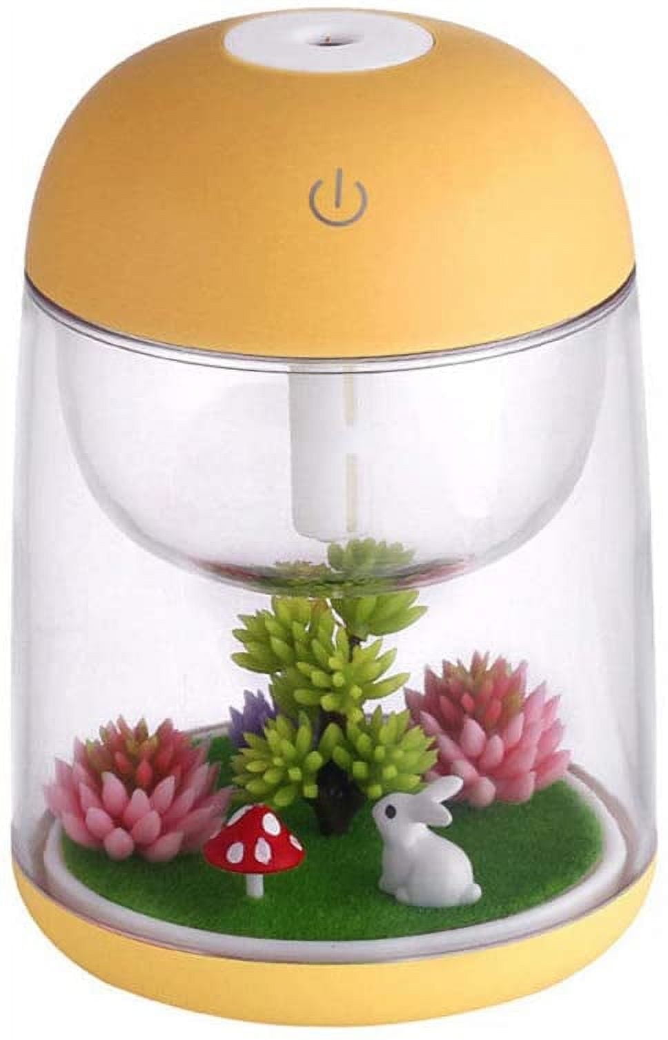 RAPOBRIX Micro Landscape Humidifier with Changing LED - Adjustable Mist ...