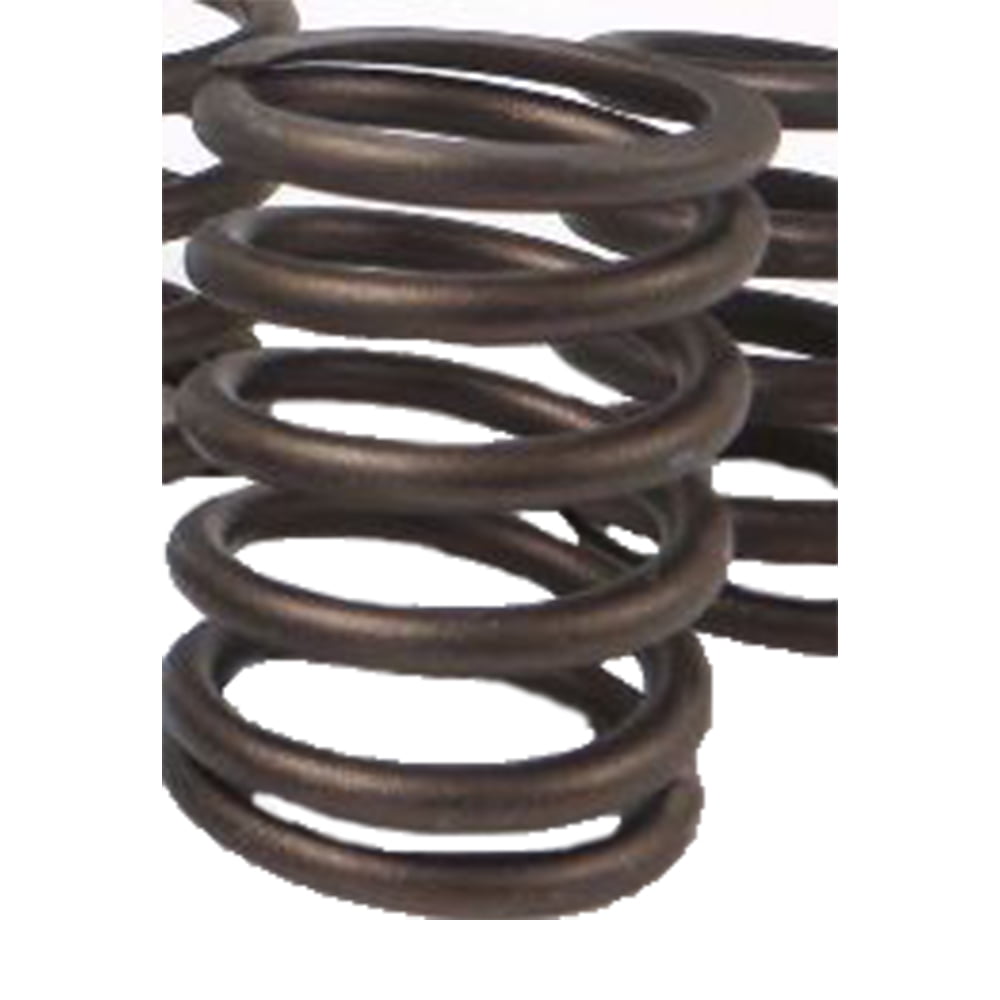 RAParts 5F3112 Outer Valve Spring Fits Caterpillar Industrial ...