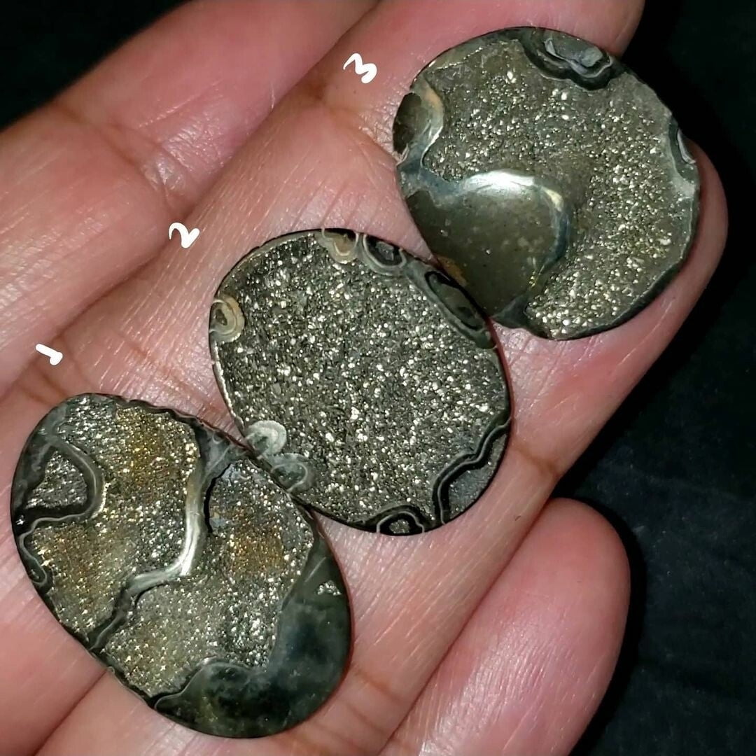 RARE Natural Russian Pyritized Ammonite Fossil Length range is 24 to ...