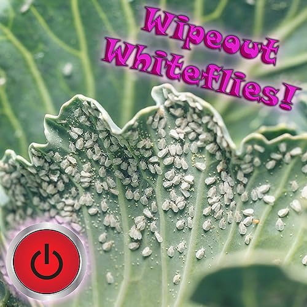 RAW Mighty 1 gal - NPK Industries Brings You This Ready-to-Use ...