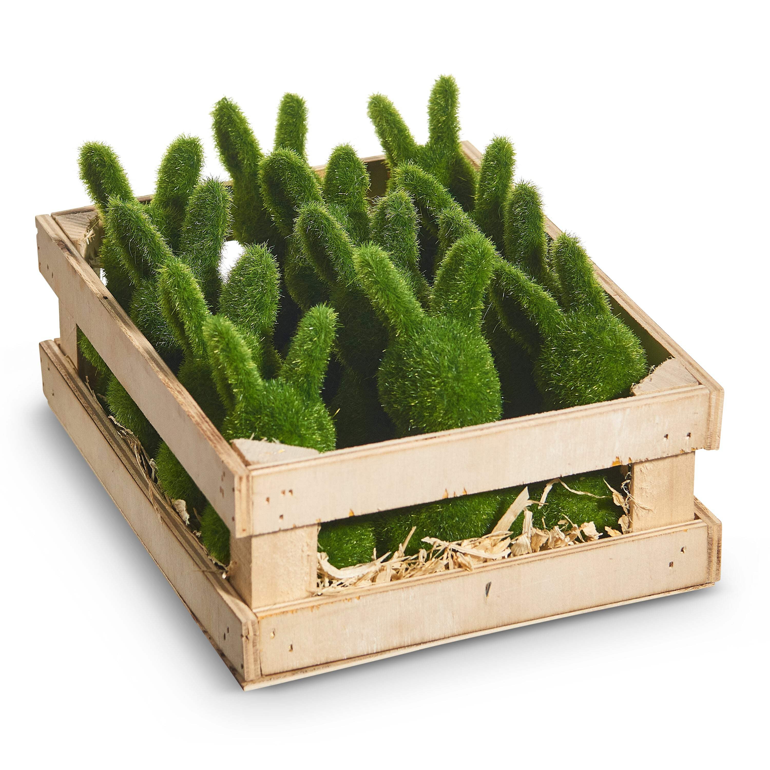 RAZ Imports 3.75" Flocked Moss Easter Bunny Rabbits with Crate Easter ...