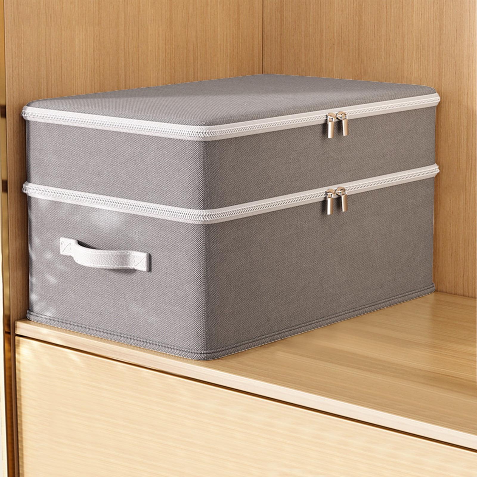 RBCKVXZ 49L Seasonals Organizer, Double Layer Multifunctional Closet ...