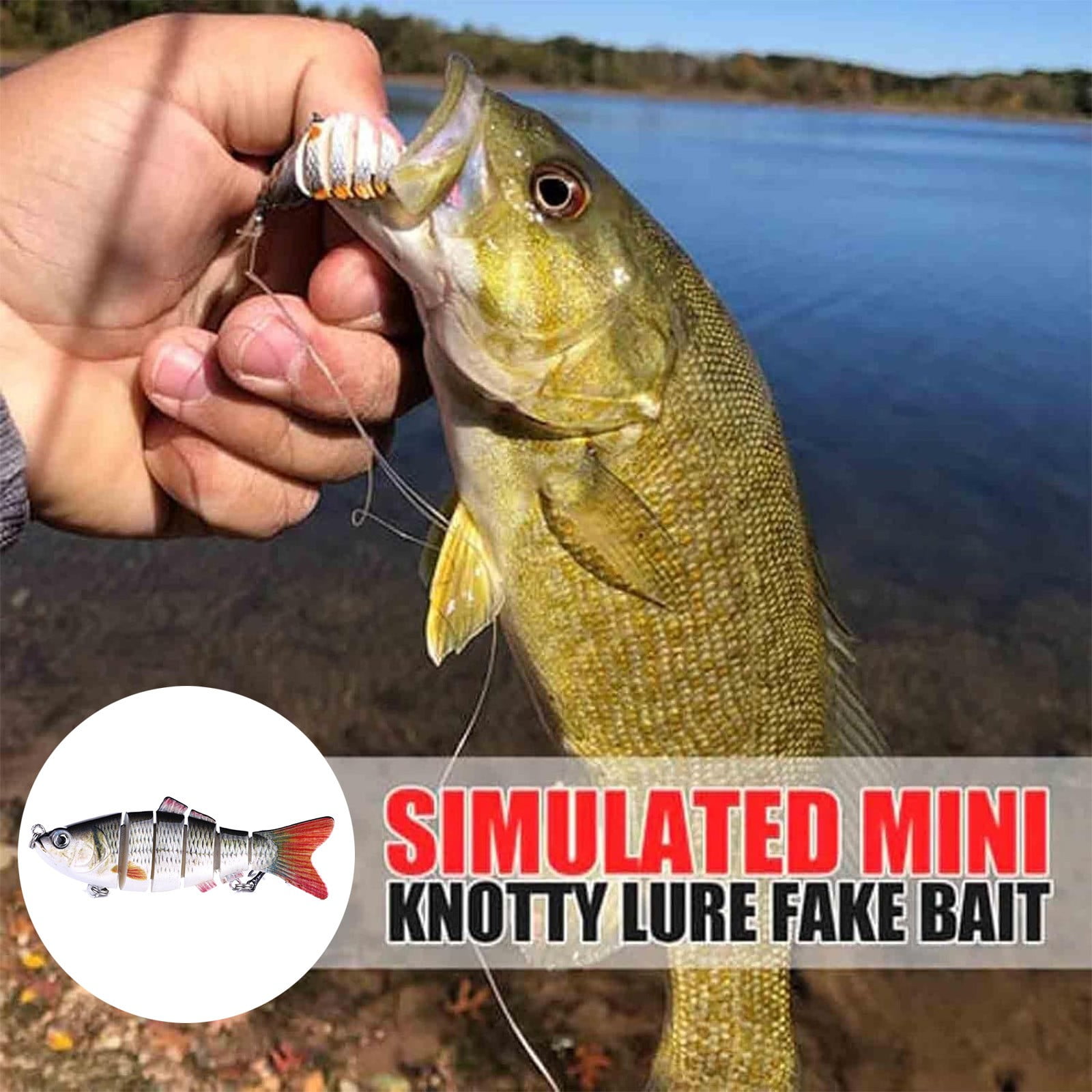 RBEK 3D Simulation Fish Hook Realistic Fish Shape Fishing Supplies For Lake River For Fishing ...