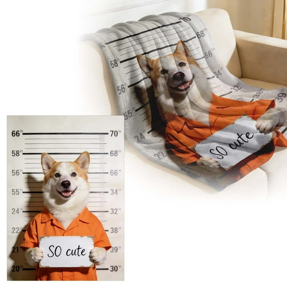 RBER Soft And Warm All Season Bed Blanket For Home And Travel Cozy ...