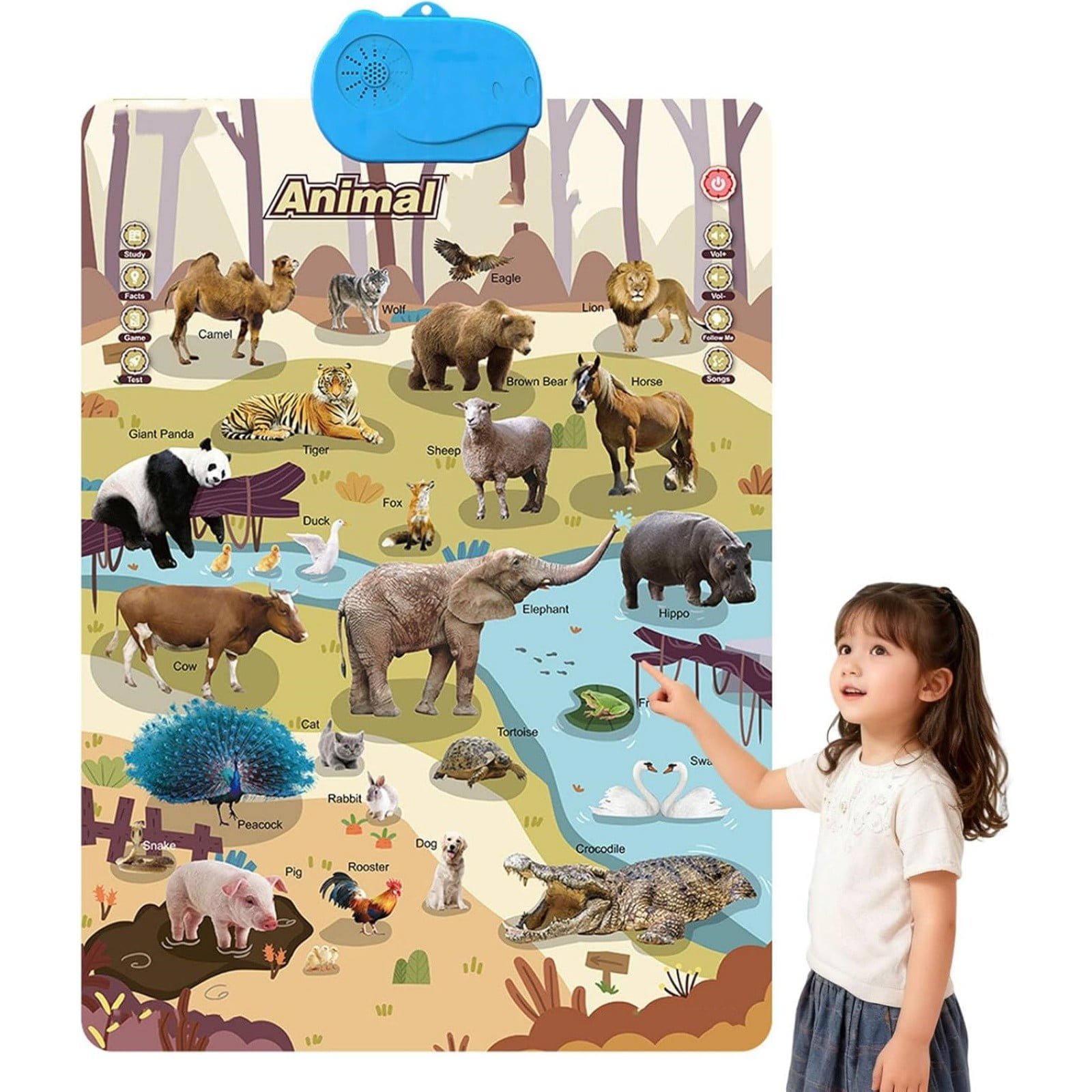 RBER Talking Wall Chart For Kids – English & Spanish Learning Poster ...