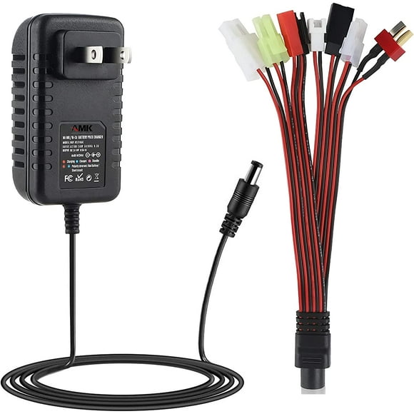 8 Volt Battery Charger