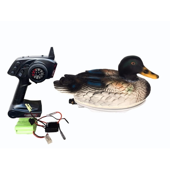 Rc Duck