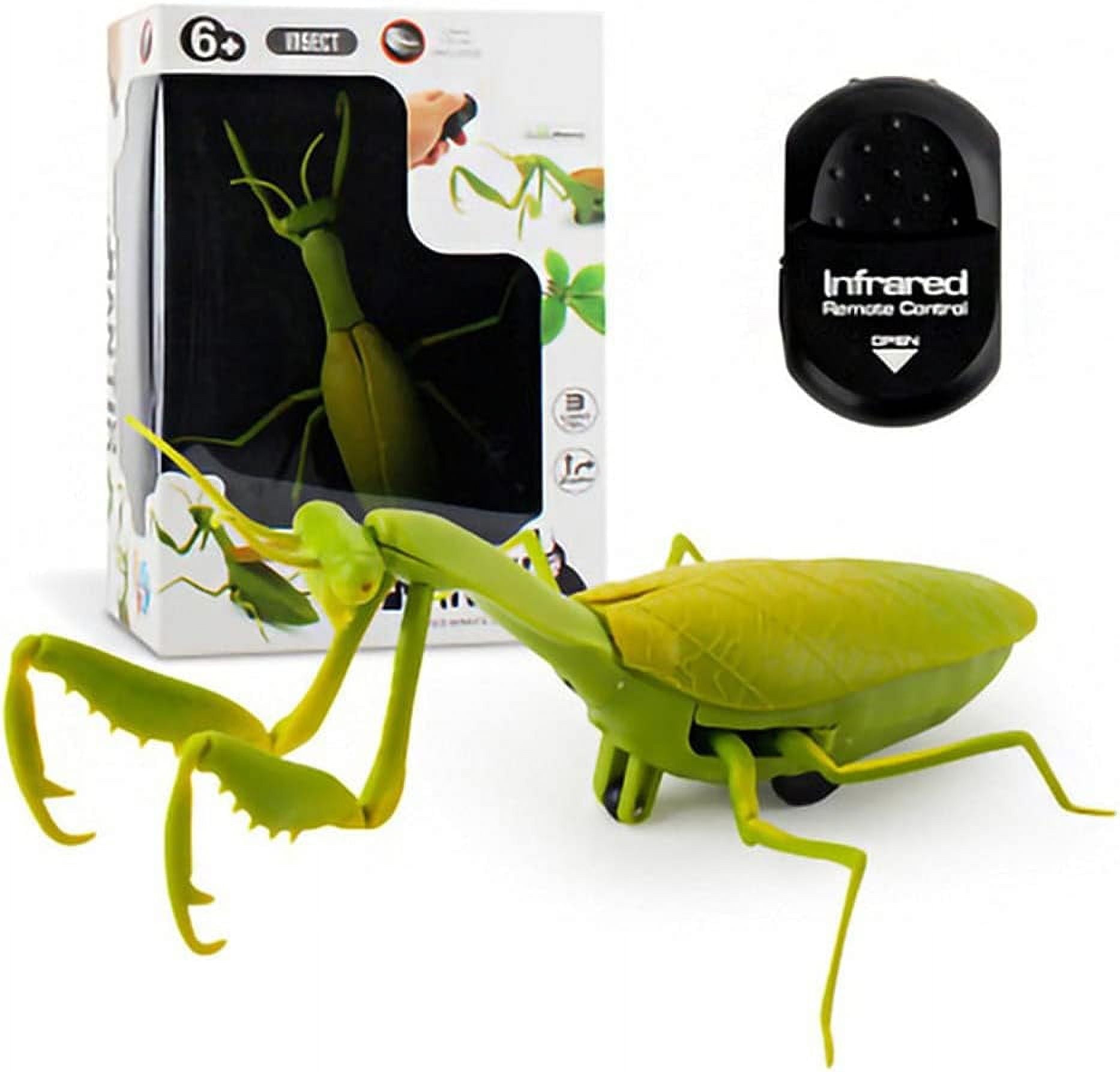 RC Electric Mantis Toy, Interactive Animal Prank & Educational Puzzle ...