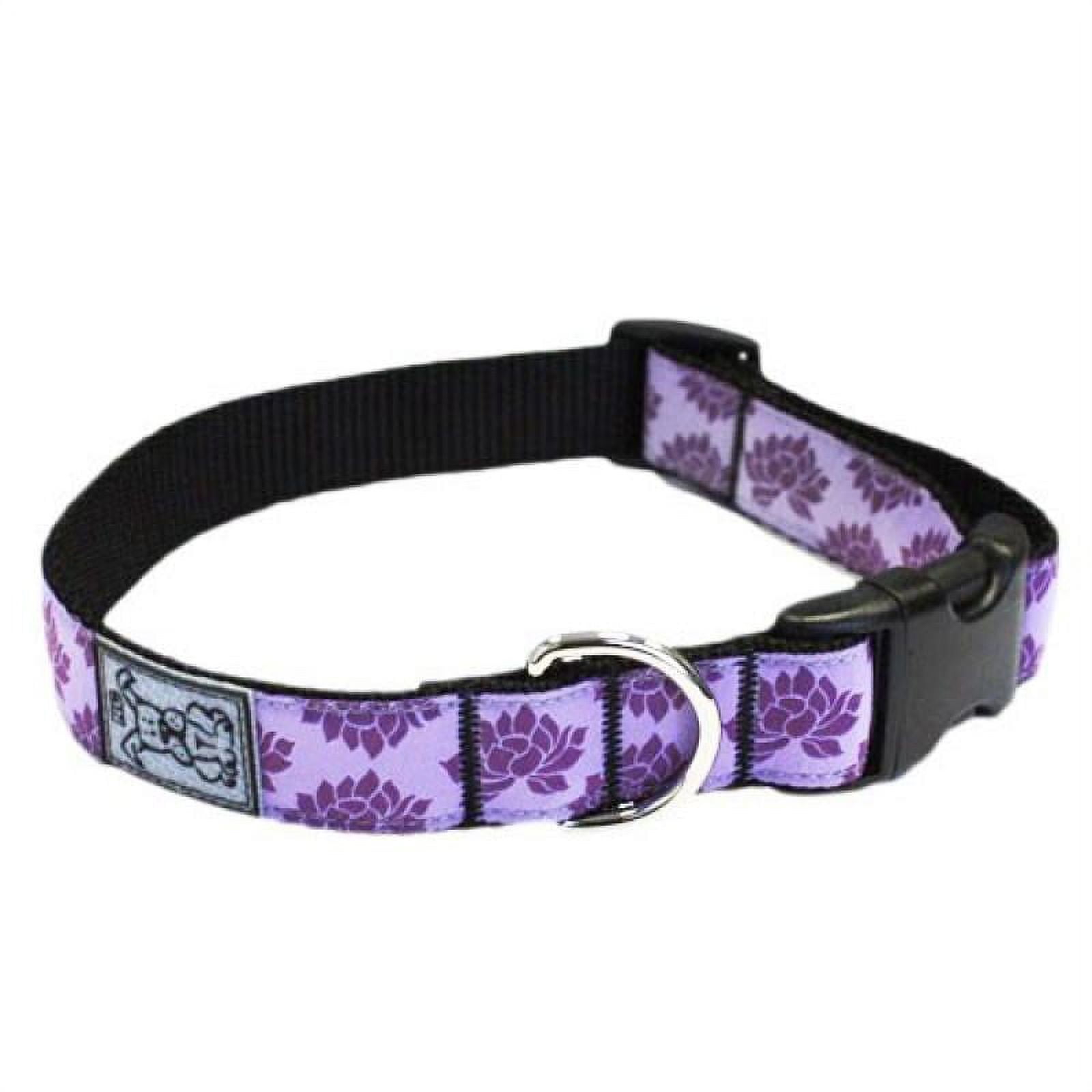 RC Pet Products 1-Inch by 15-25-Inch AdjustIle Dog Clip Collar, Nirvana ...