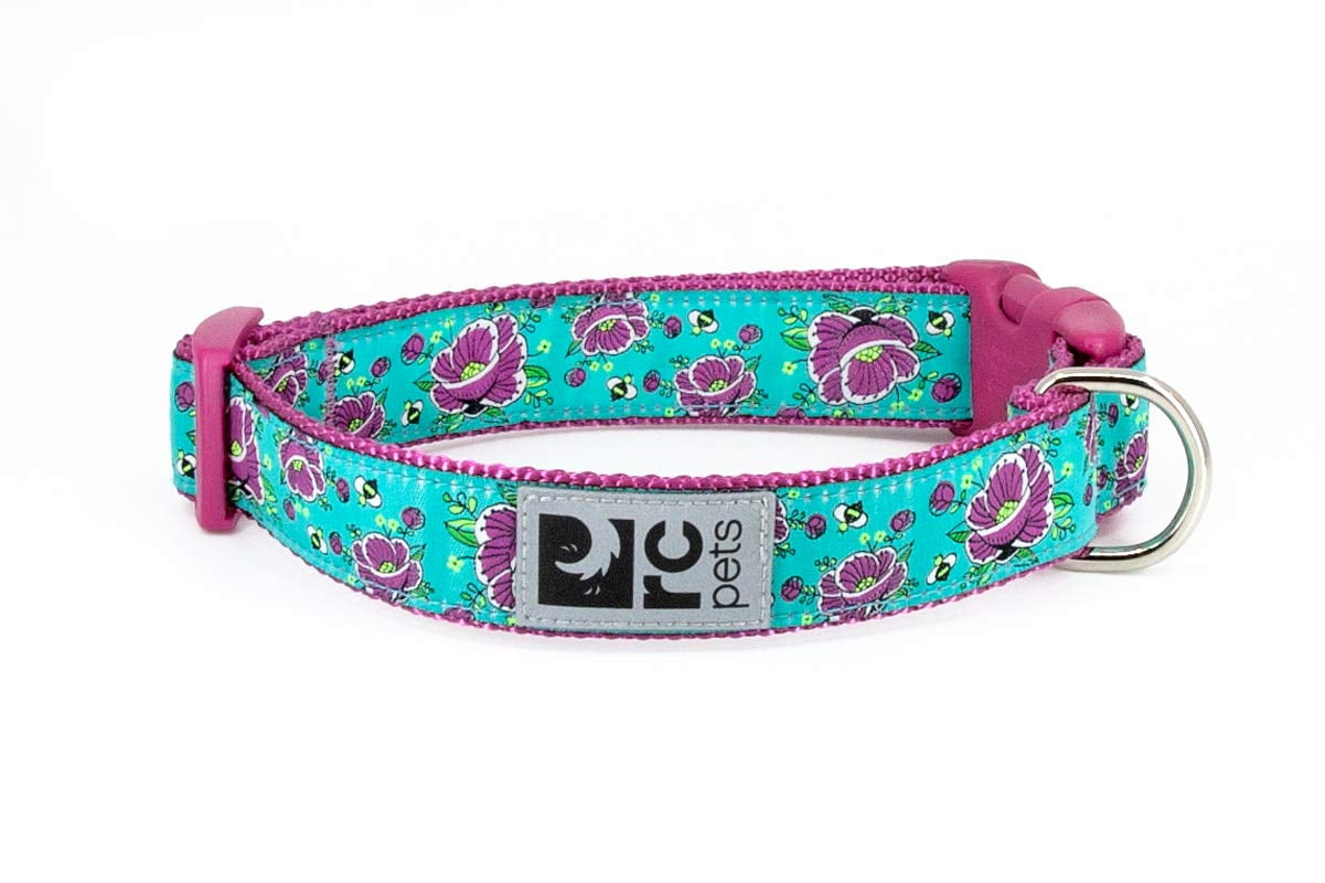 RC Pets 5/8 Inch Adjustable Dog Clip Collar, X-Small, All The Buzz ...