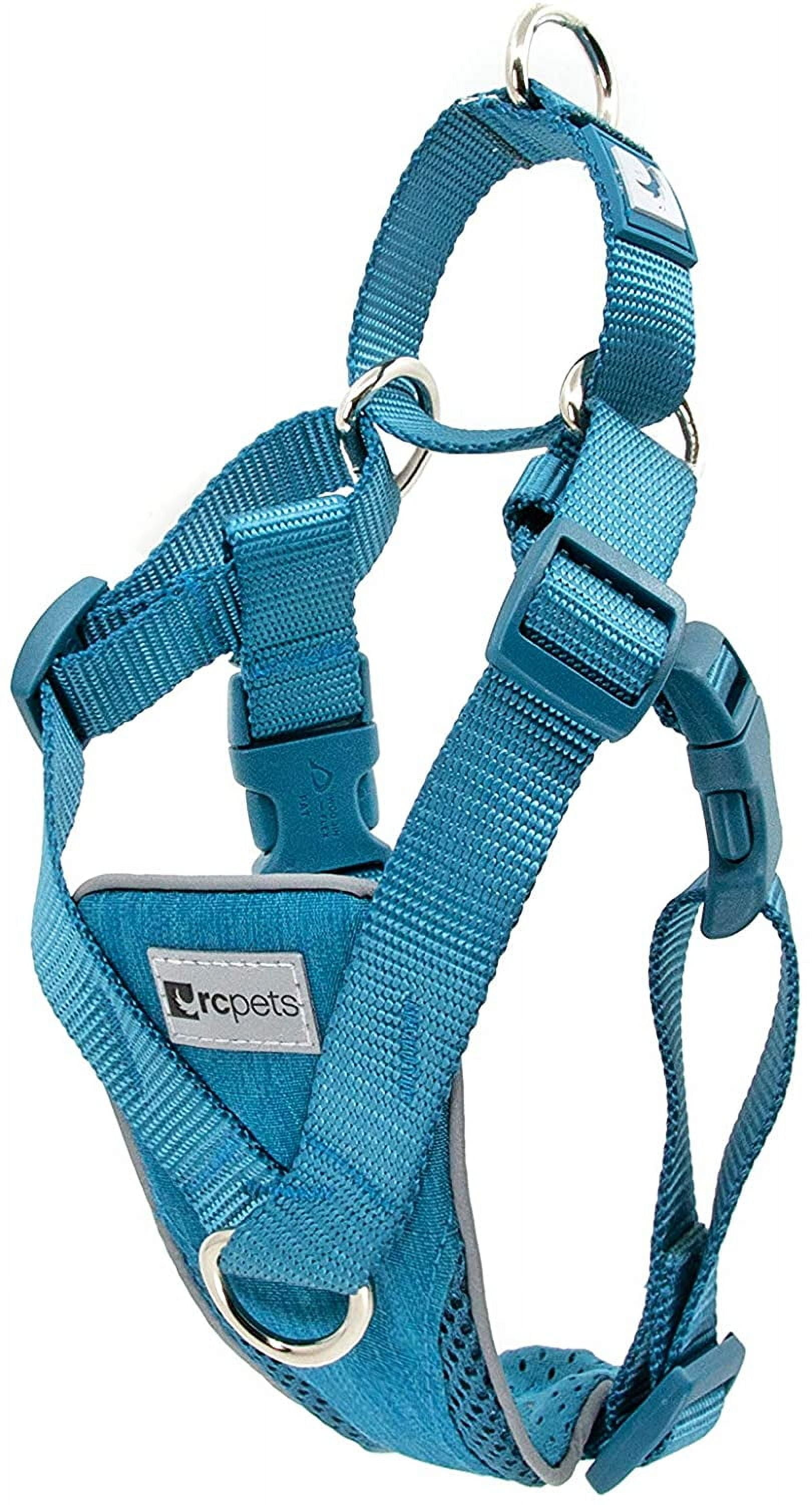 RC Pets Tempo No Pull Dog Harness Medium Heather Teal - Walmart.com