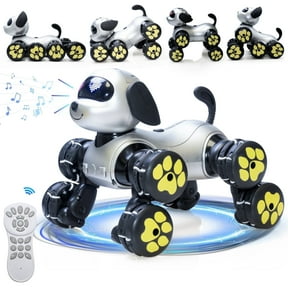 Robot Dog