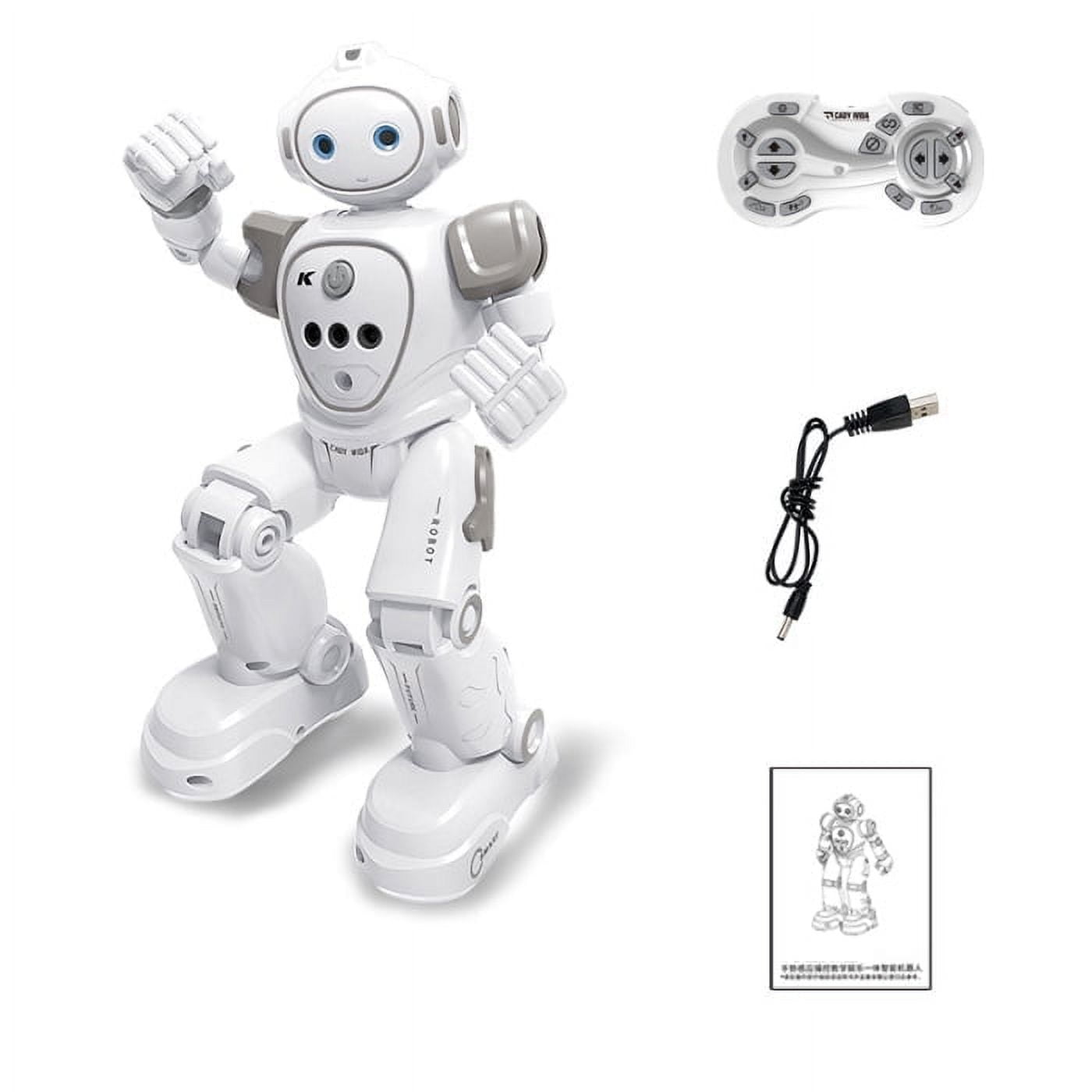 RC Robot Toys for Kids, Gesture & Sensing Programmable Remote Control Smart Robot (Gray ...