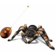 RC Tarantula - Walmart.com
