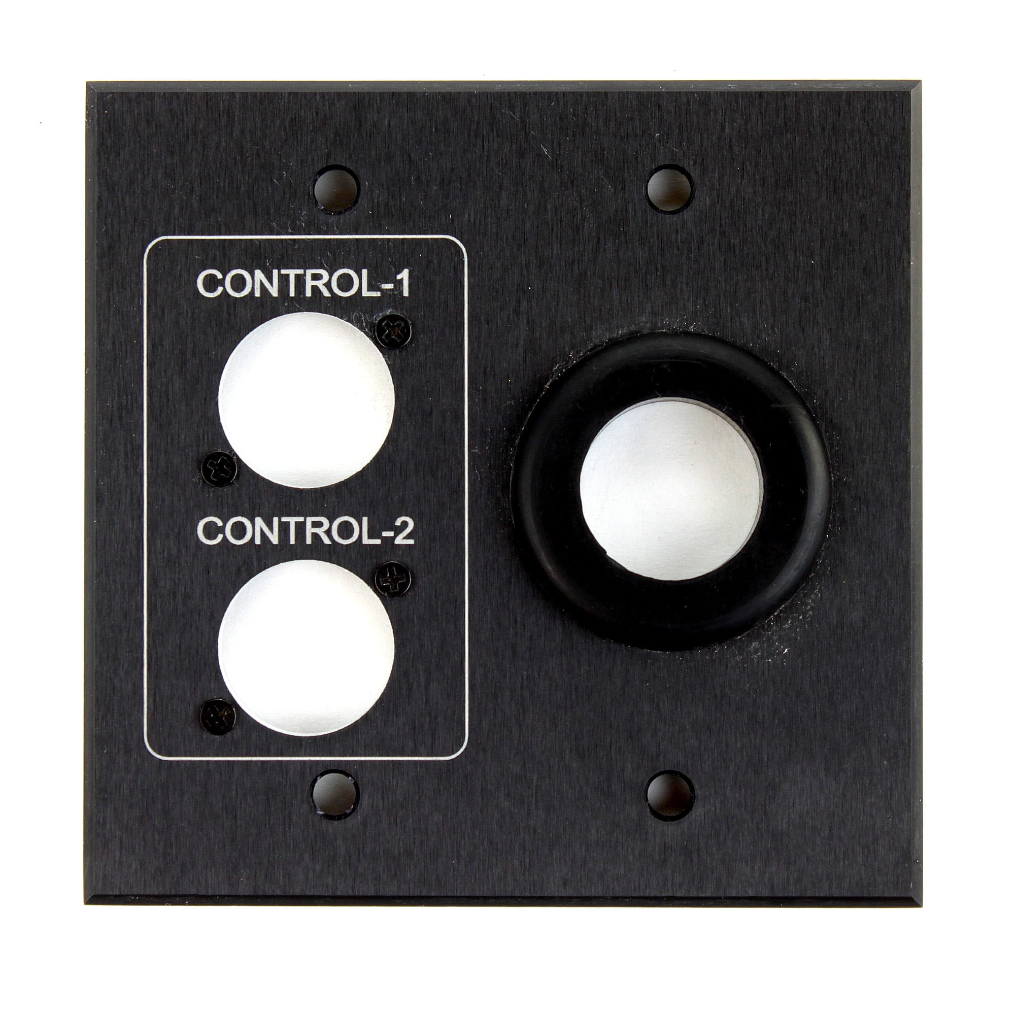 RCI Custom AL-BT Double Wall Plate With Custom Stamped Letter Overlay ...