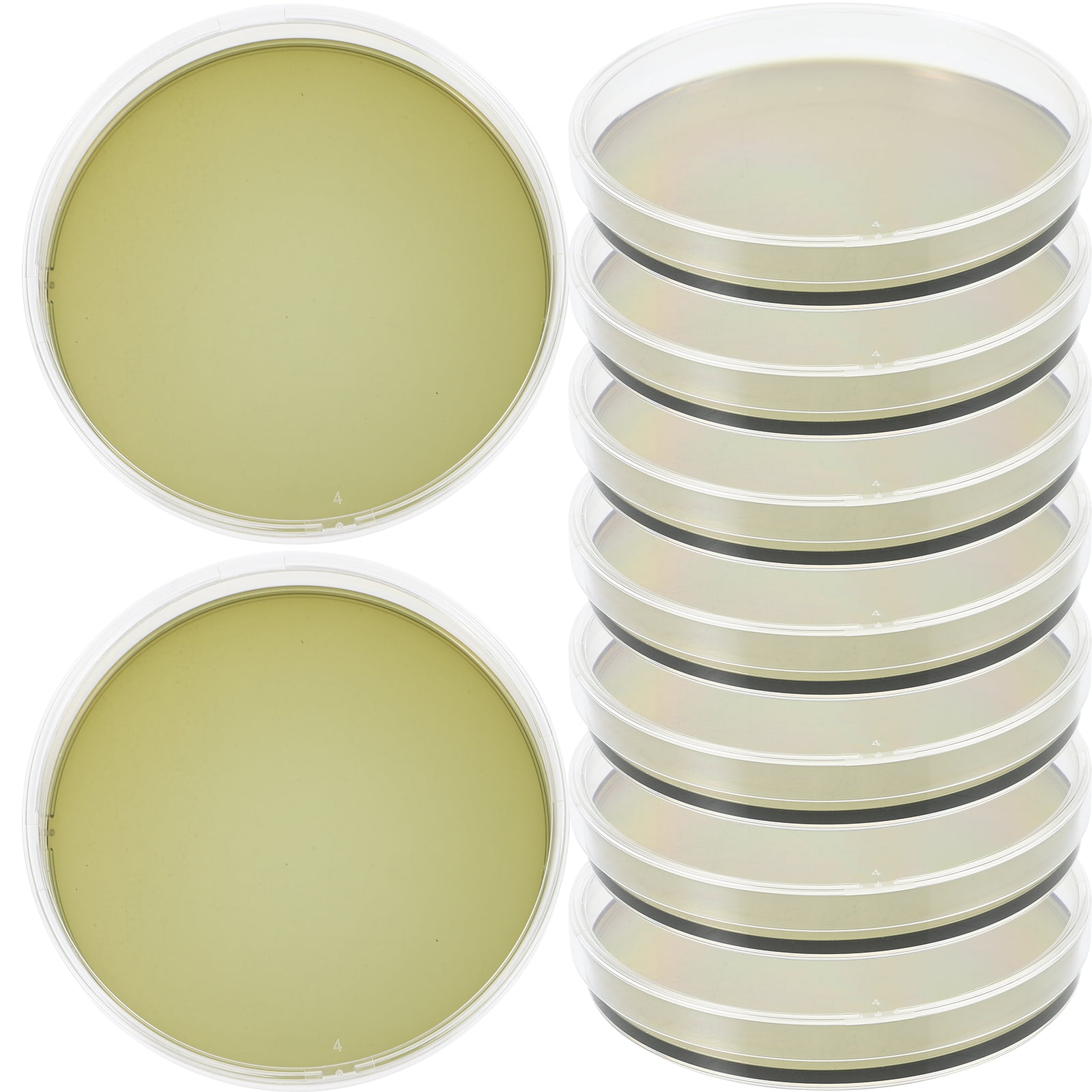 REACHISE 10pcs Agar Plates Prepoured Agar Plates Plastic Petri Dishes ...