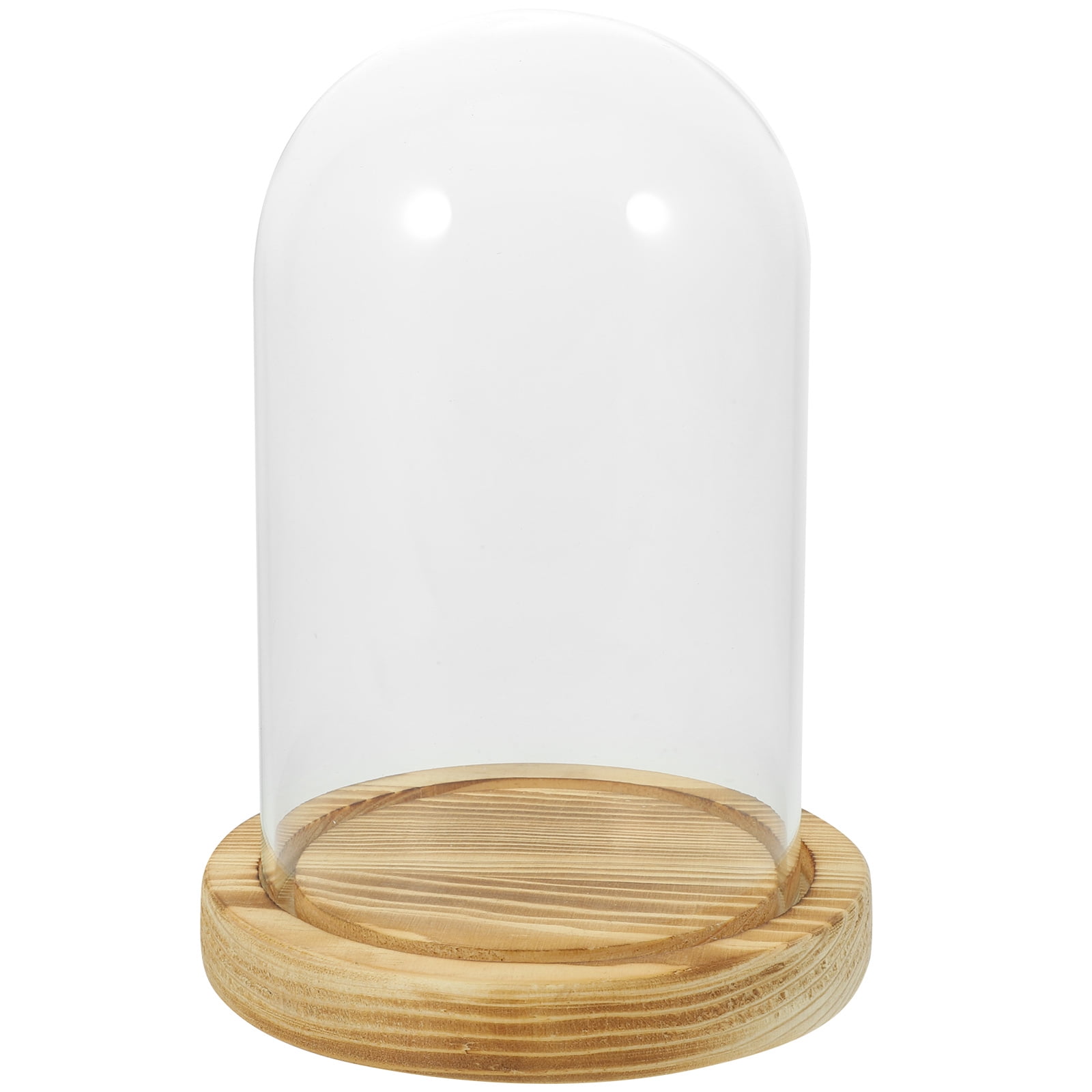REACHISE Glass Display Cloche Dome with Wooden Base for Plants and ...