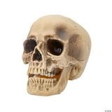 REALISTIC ROTTING SKULL - Walmart.com