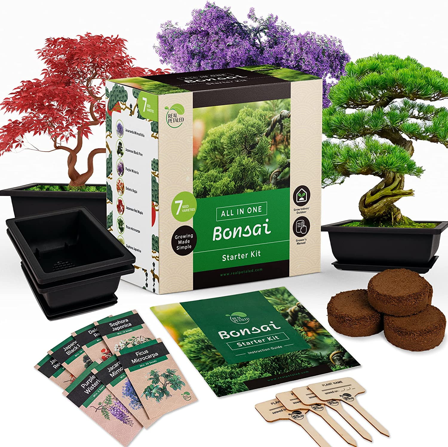 REALPETALED Bonsai Starter Kit – Japanese Bonsai Tree Kit with Bonsai ...