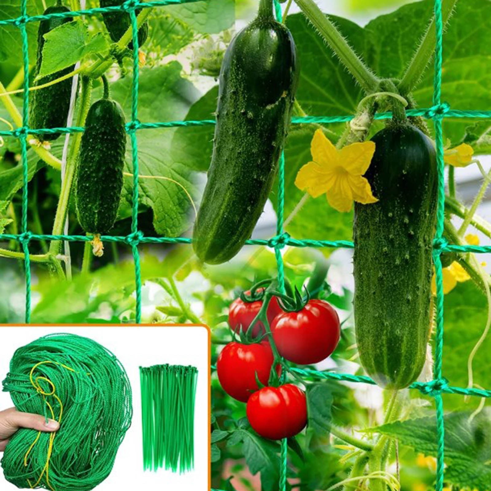 REASONCOOL Gardening Vine Climbing Net Grape Cucumber Vine Climbing Net ...
