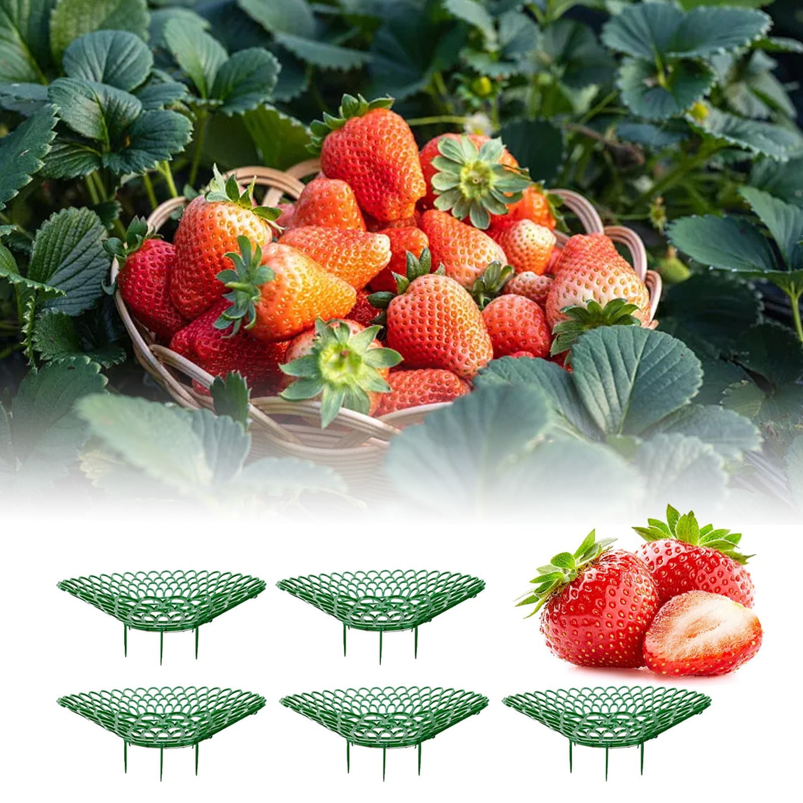 REASONCOOL Strawberry Support 2024 New Strawberry Supports Stand ...