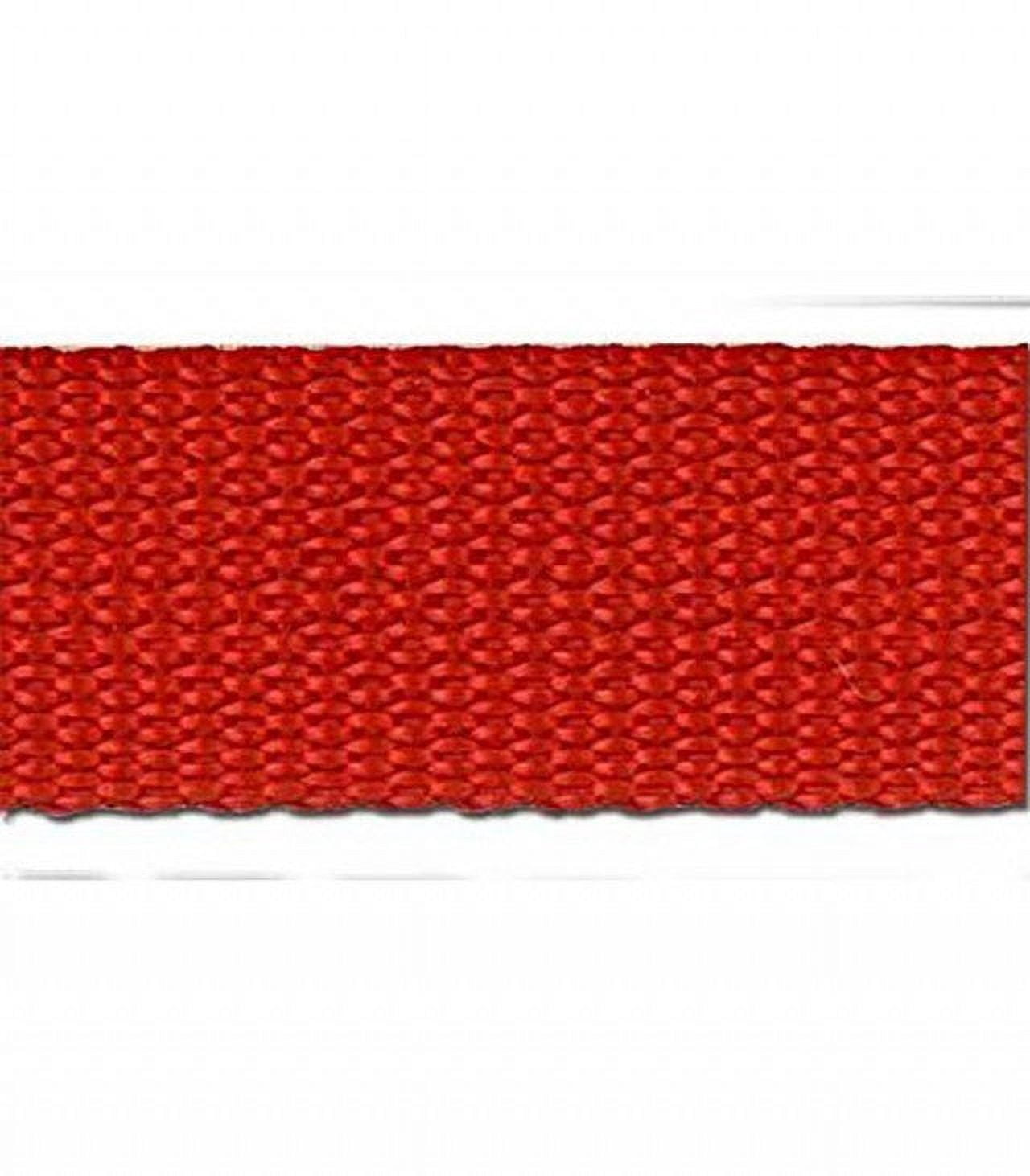 RED 1 INCH POLYPROPYLENE WEBBING - Walmart.com