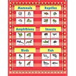 Teacher Created Resources TCR20831 34 x 44 in. Marquee Chart, Red ...
