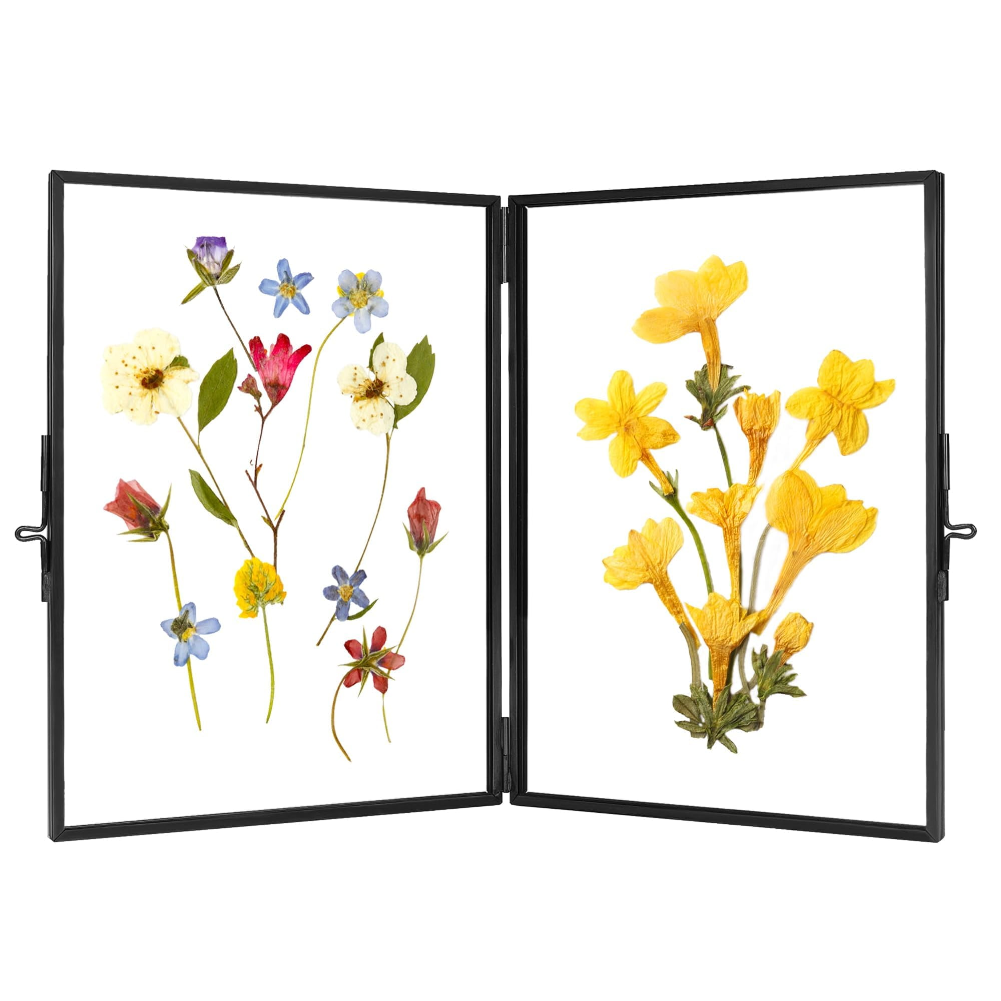 REDHUGO Glass Pressed Flower Frame Handmade, Hinged Double Press Flower ...