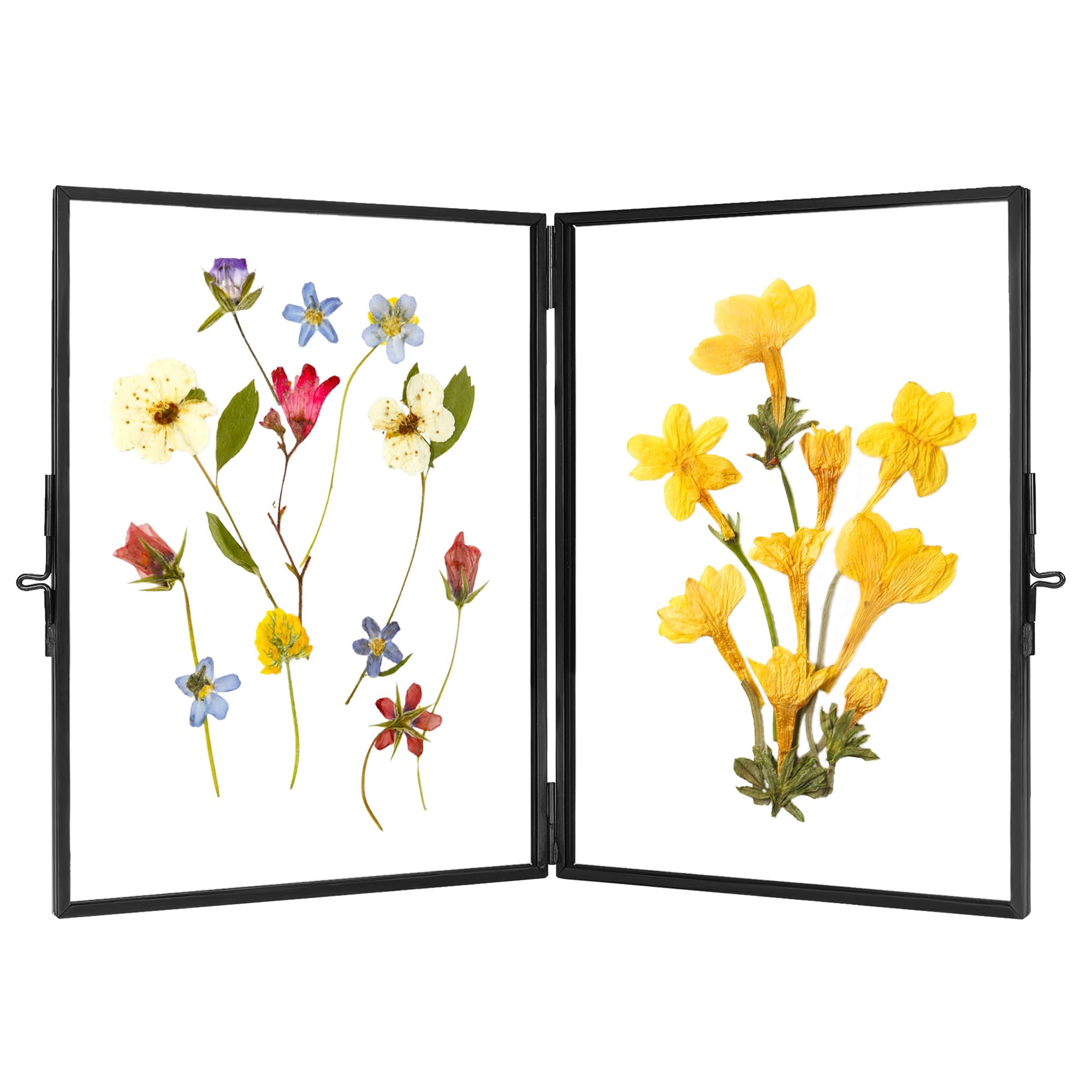 REDHUGO Glass Pressed Flower Frame Handmade, Hinged Double Press Flower ...