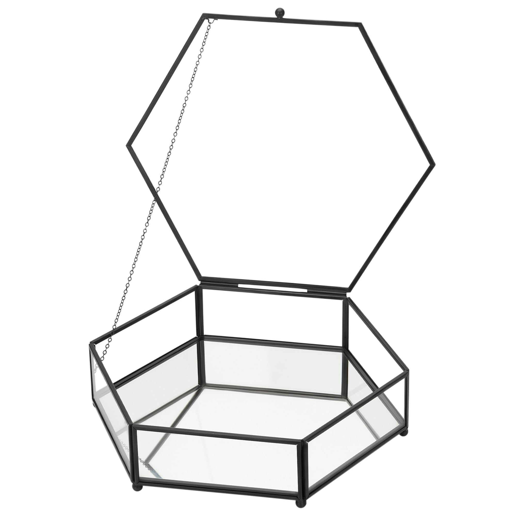 REDHUGO Hexagon Glass Box for Display Handmade, Mirrored Brass & HD ...