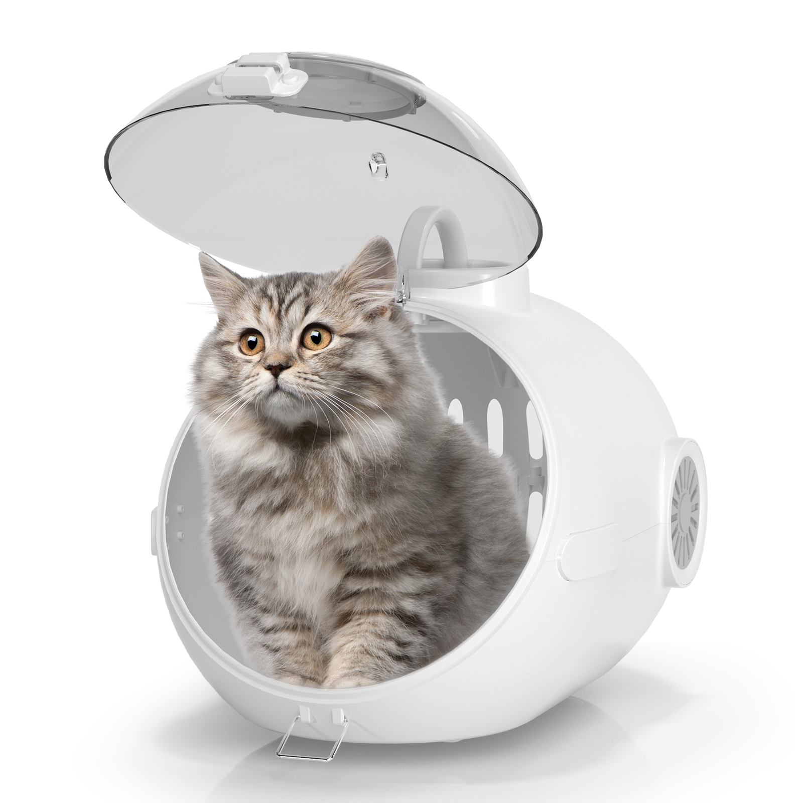 Back Extension Cat Backpack, Transparent Bubble Pet Carrier for Small ...